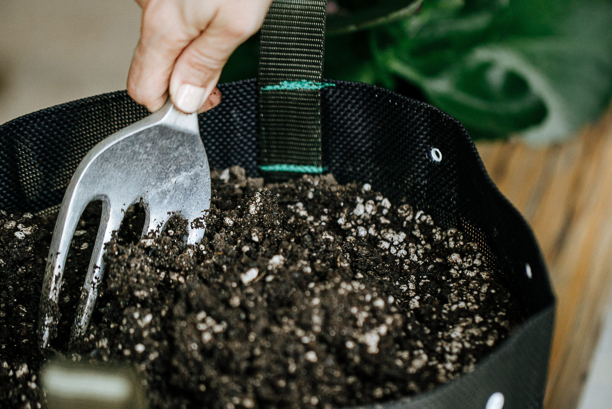 Tipos de nutrientes para plantas: o que são e sua importância? - BioCultivo